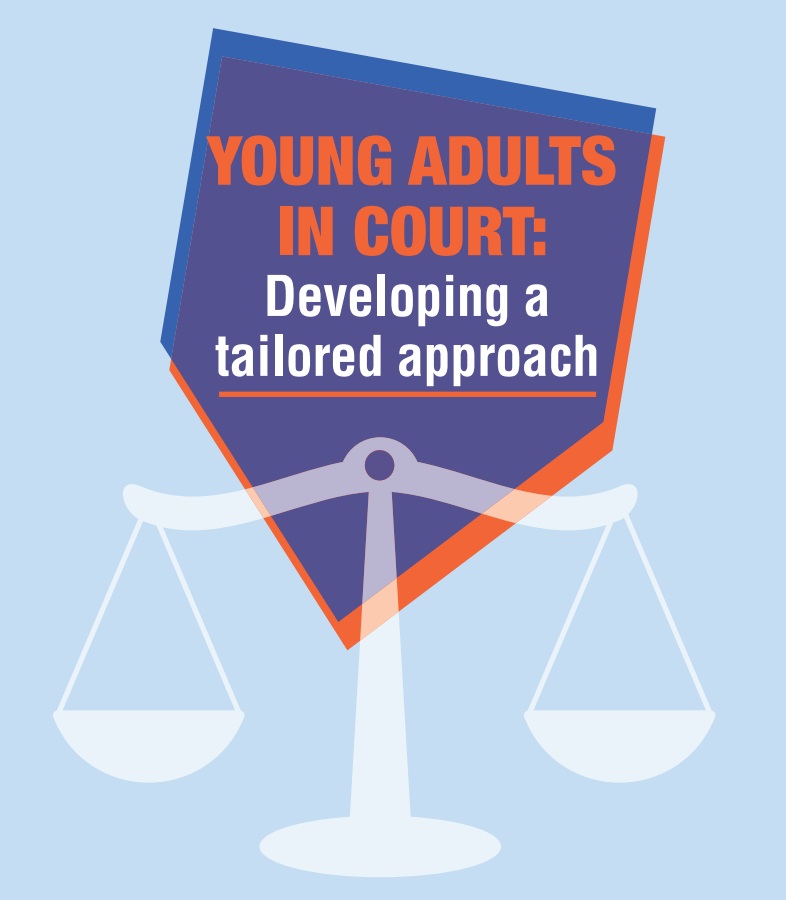 The journey towards young adult courts - Children and Young People's ...